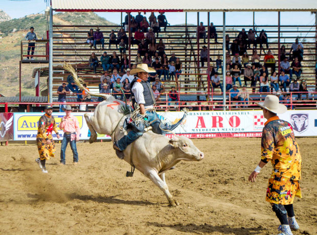 ZETA – Arranca la fiesta vaquera