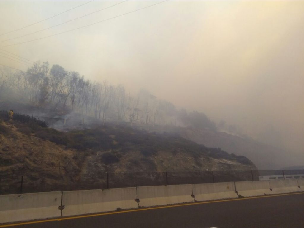 Reportan dos incendios forestales, en Tijuana - Semanario ZETA