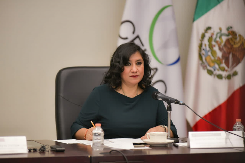 Secretaría de la Función Pública, de Irma Eréndira Sandoval, se niega a colaborar en temas de ...