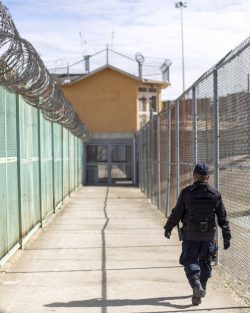 Realizan “mega- traslado” de casi 400 internos al Cereso de El Hongo ...