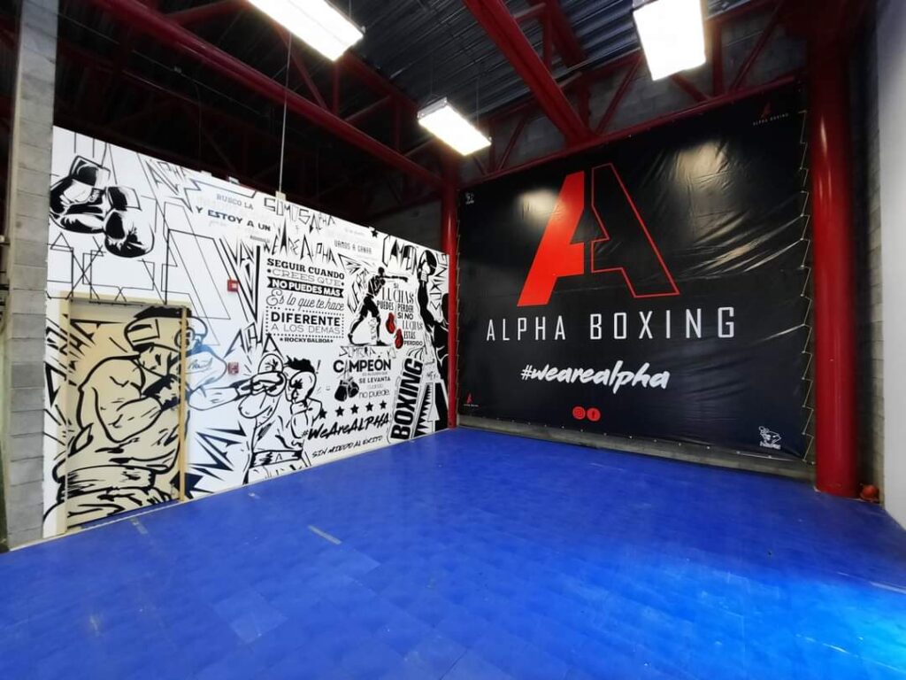 Alpha Boxing, abre nuevo espacio para el Boxeo en el CAR de Tijuana ...
