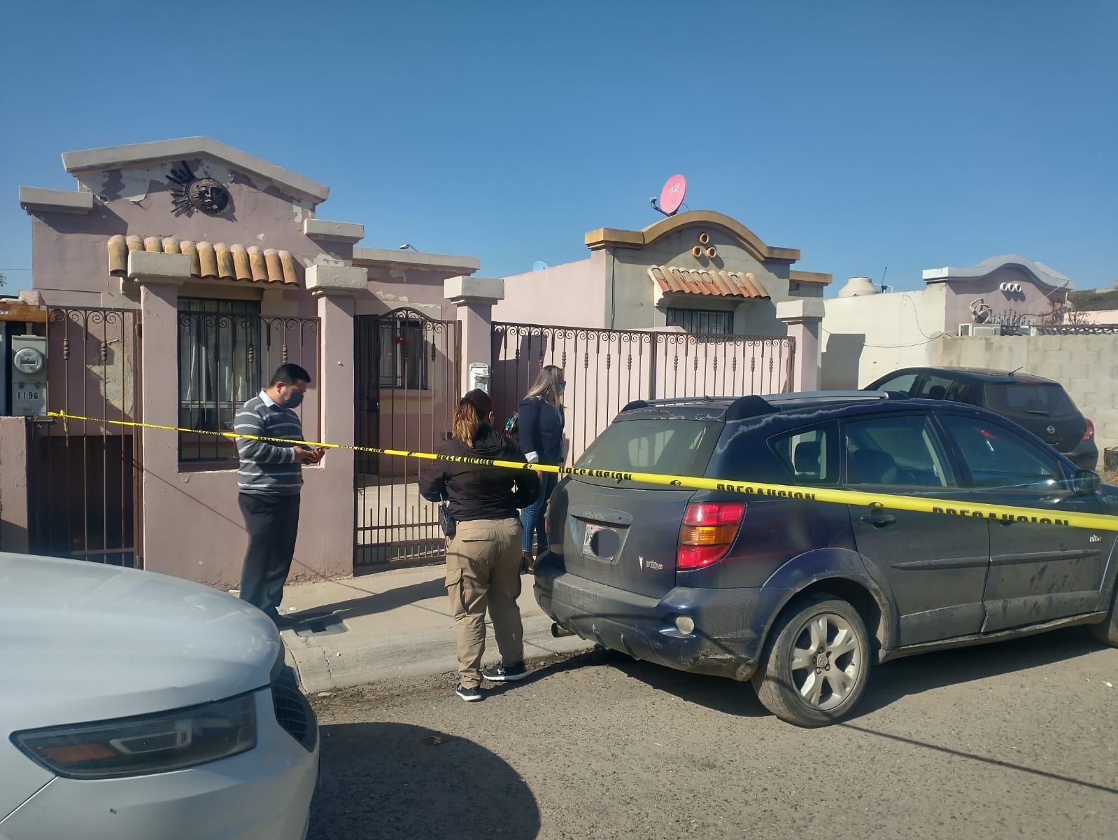 Rescatan un bull terrier por maltrato animal en Ensenada, el tercero en ...