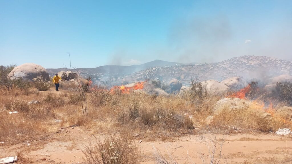 Controlan 4 incendios forestales en distintos puntos de Tecate ...