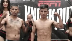 Listos para la batalla de Alpha Boxing - Semanario ZETA