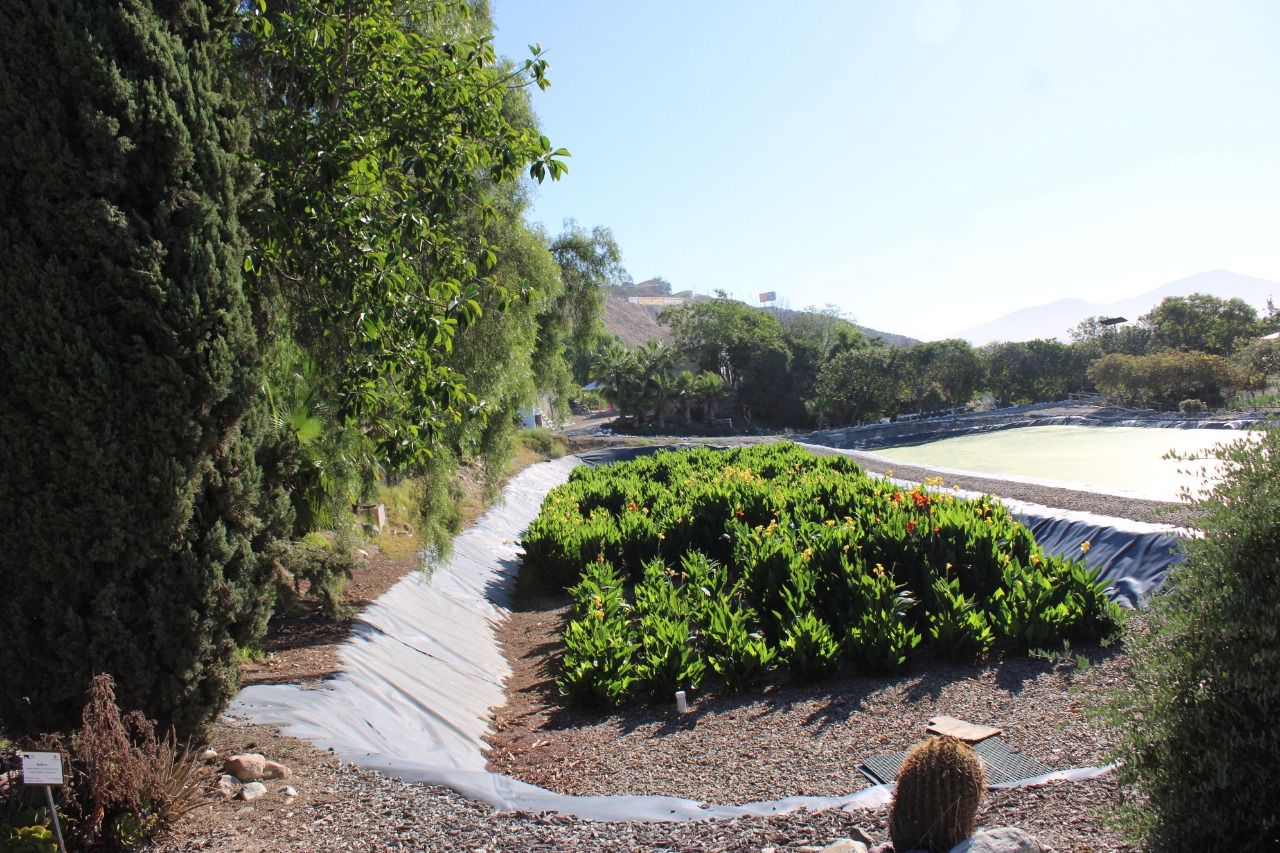 Reabren Ecoparque del Colef en Tijuana - Semanario ZETA