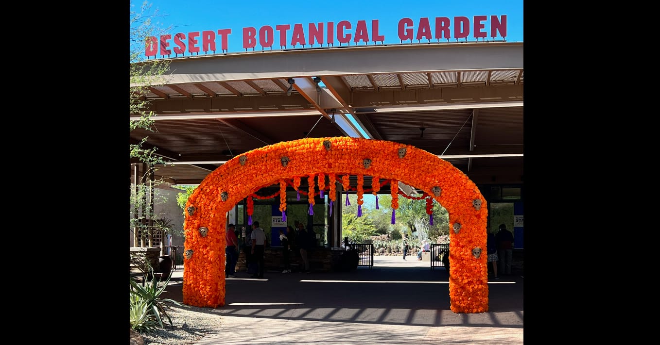 Artistas mexicanos en el Día de Muertos del Jardín Botánico del ...