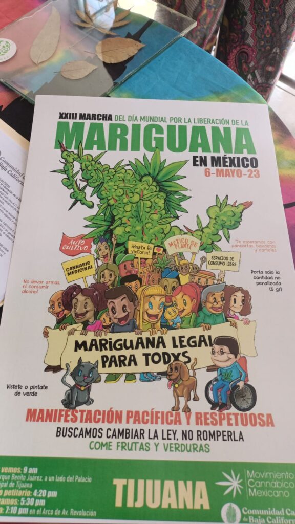 Organizan marcha para la legalización del consumo de marihuana en ...