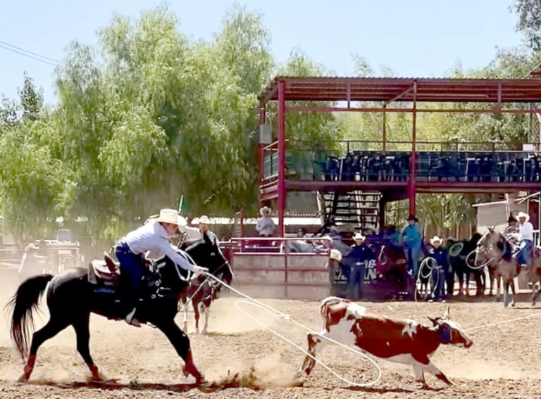 Inicia temporada de Rodeo - Semanario ZETA