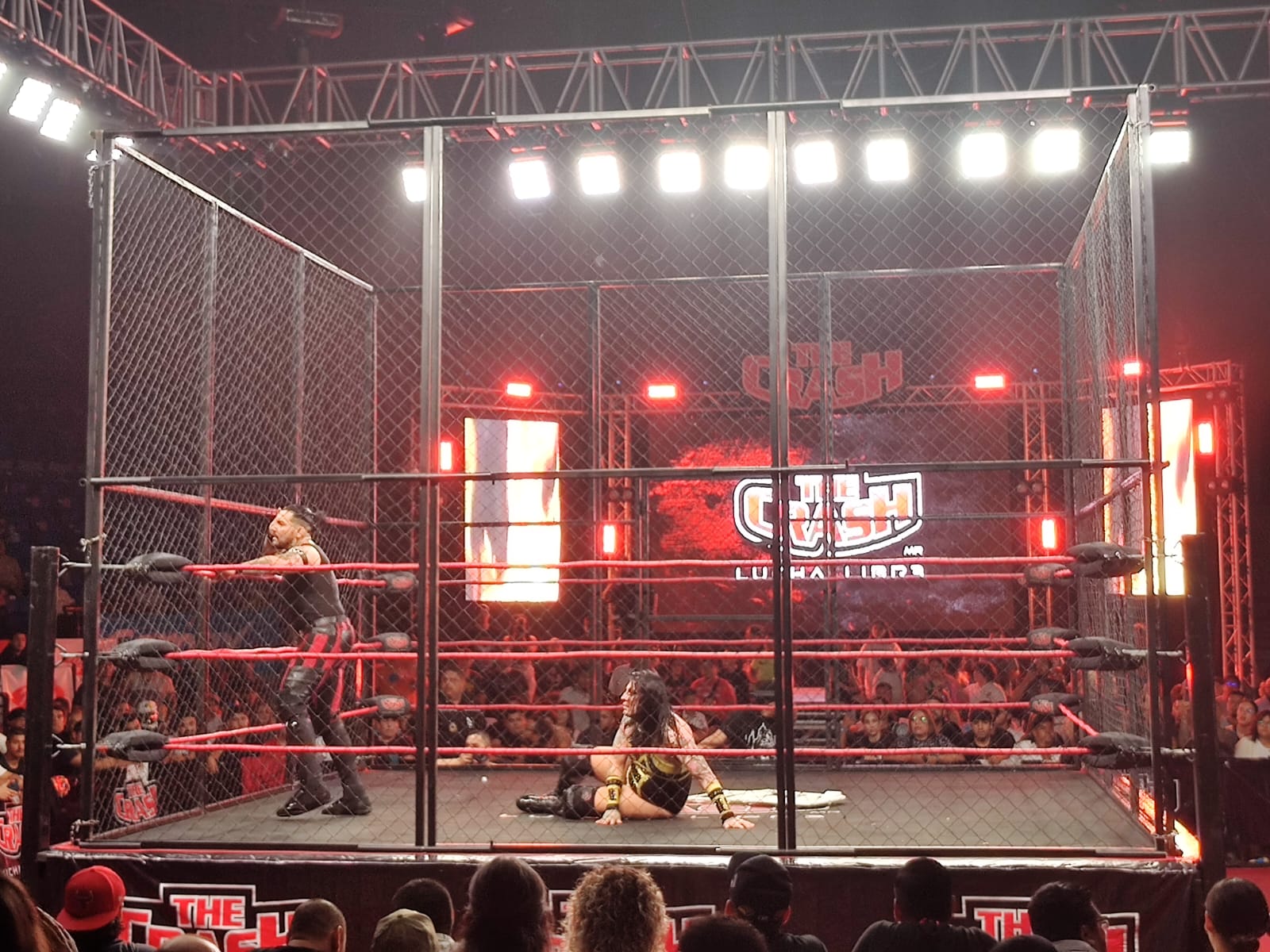 Disputan espectacular lucha en jaula en The Crash - Semanario ZETA