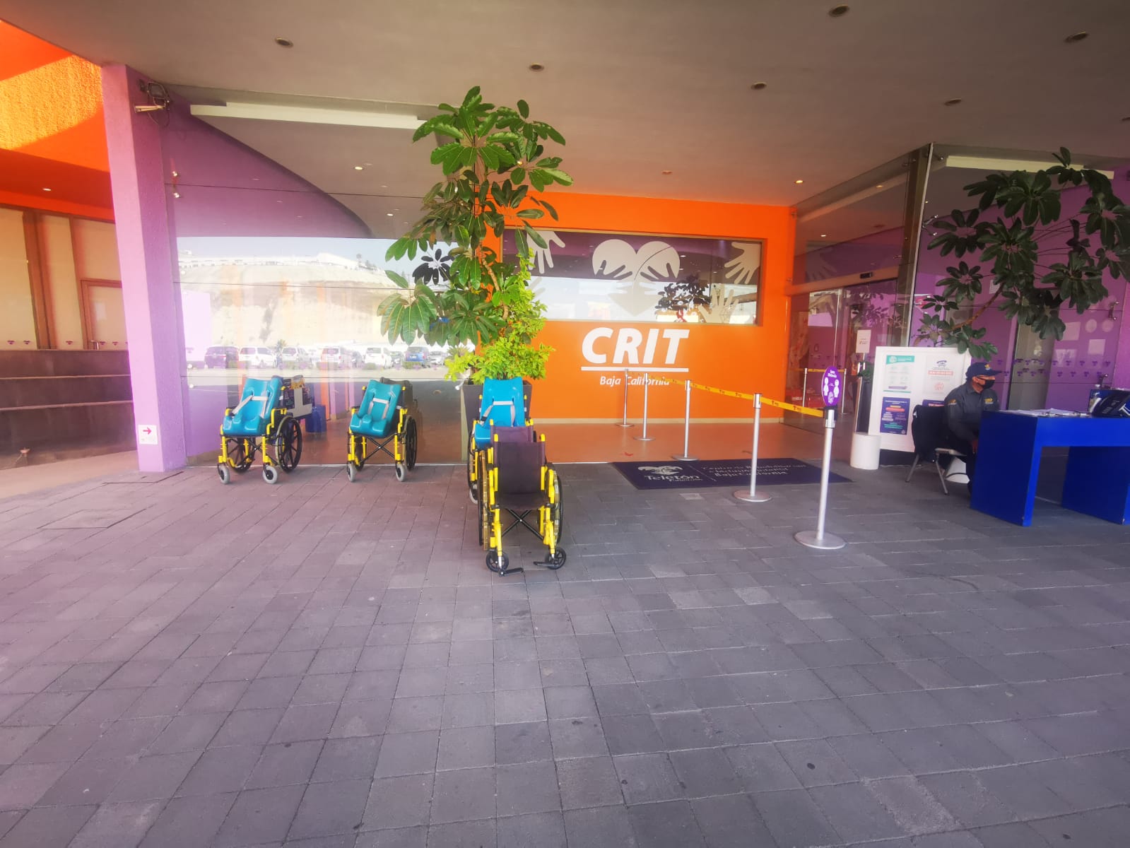 Teletón advierte sobre riesgos de abuso en menores con discapacidad. - Semanario ZETA