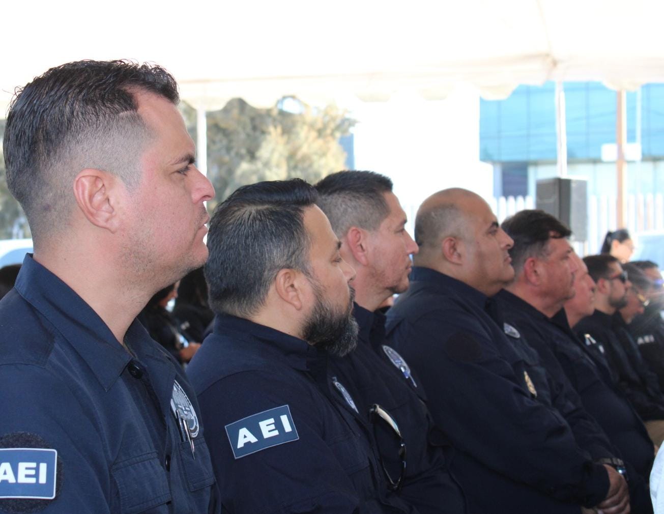 Agentes de la AEI se jubilarán antes de 2024: María Elena Andrade ...