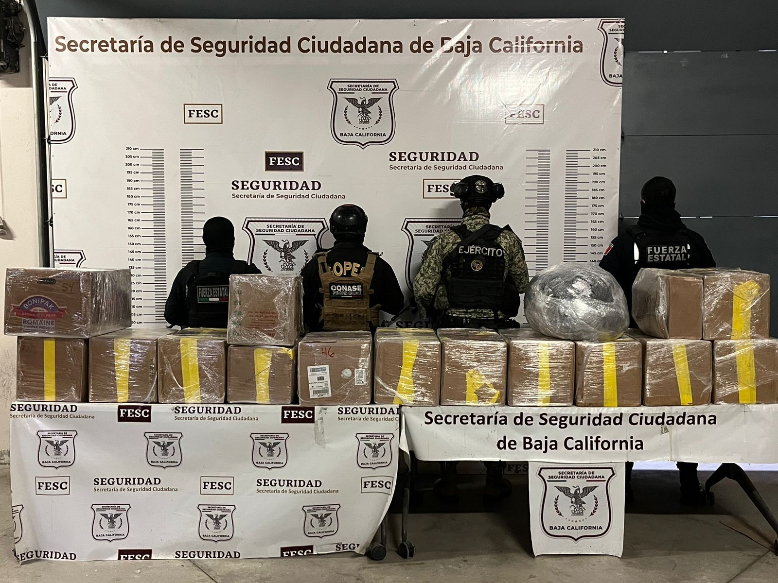 Decomisan Más De 350 Kilos De Droga En Tijuana Semanario Zeta