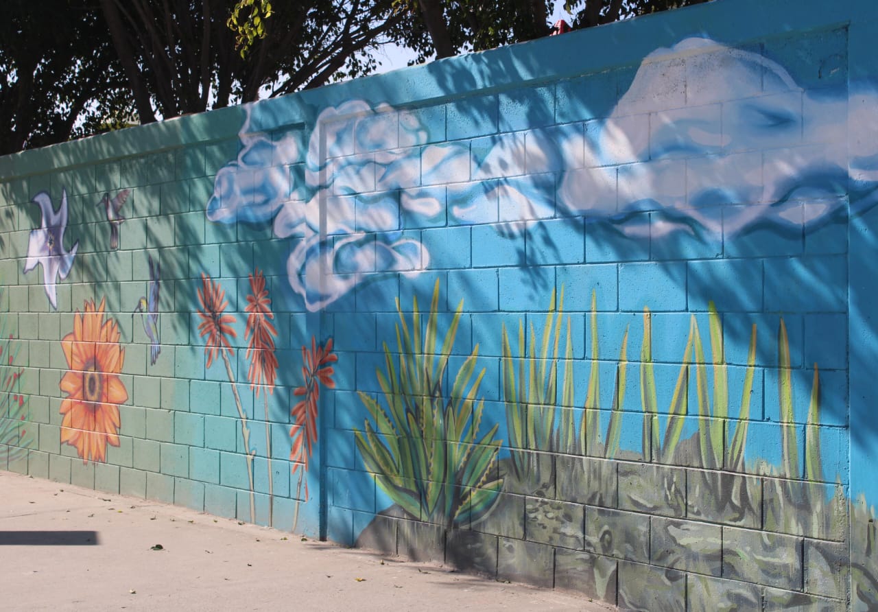 Presentan proyecto “Sembrando Ciudades” en Tijuana - Semanario ZETA