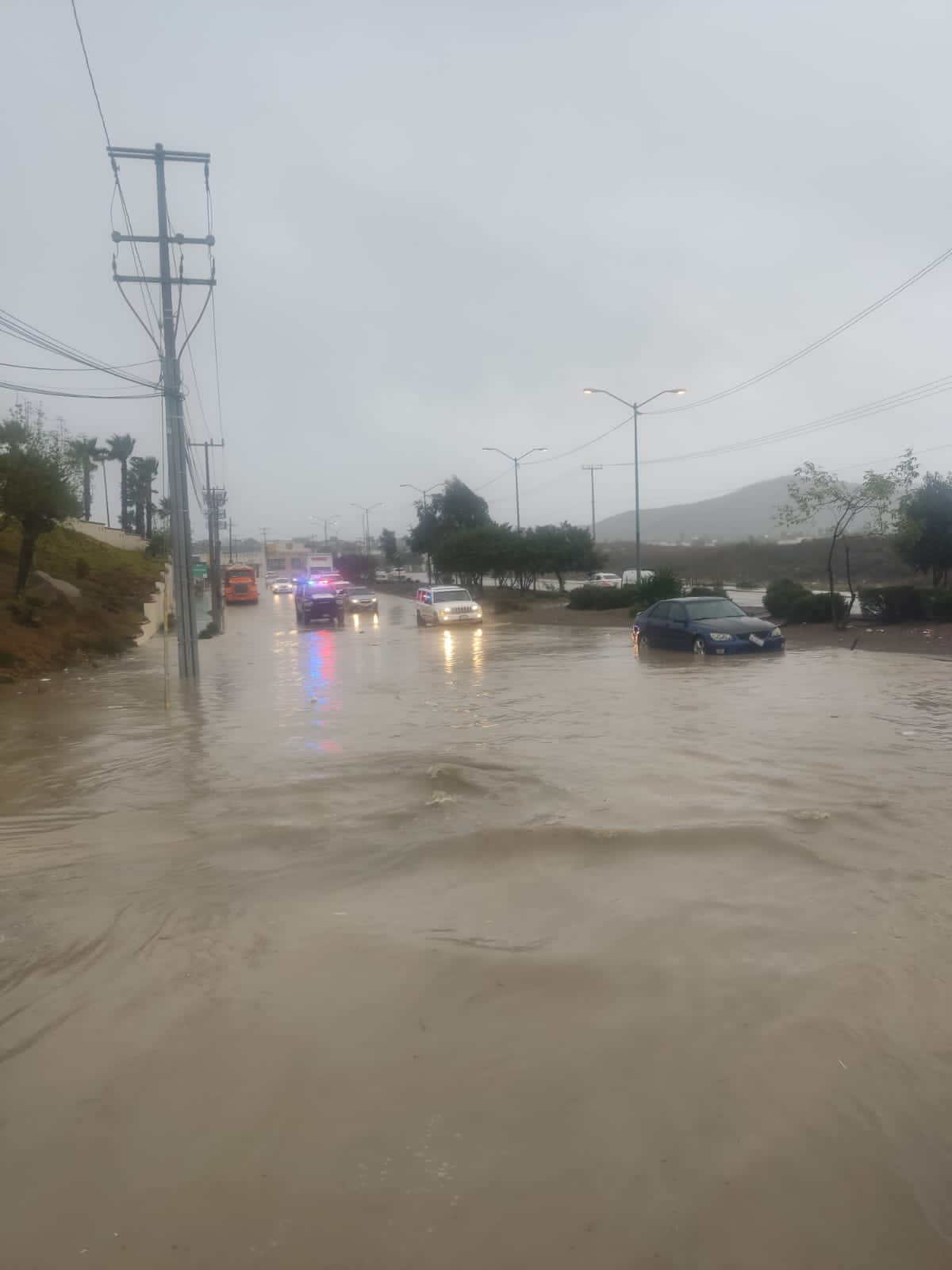 Inundaciones, choques y rescate de personas tras lluvias en Tijuana ...