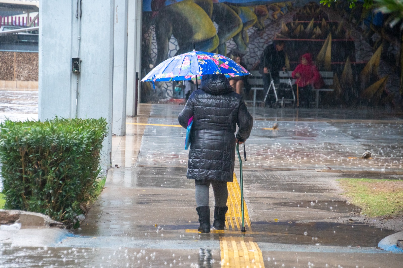 Pronóstico: Lluvias toda la semana en Tijuana - Semanario ZETA