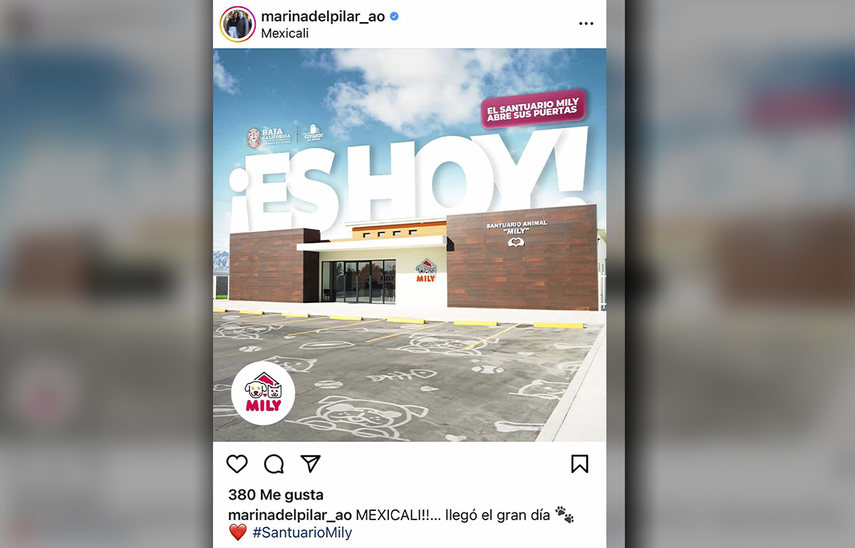 Perritos - Semanario ZETA