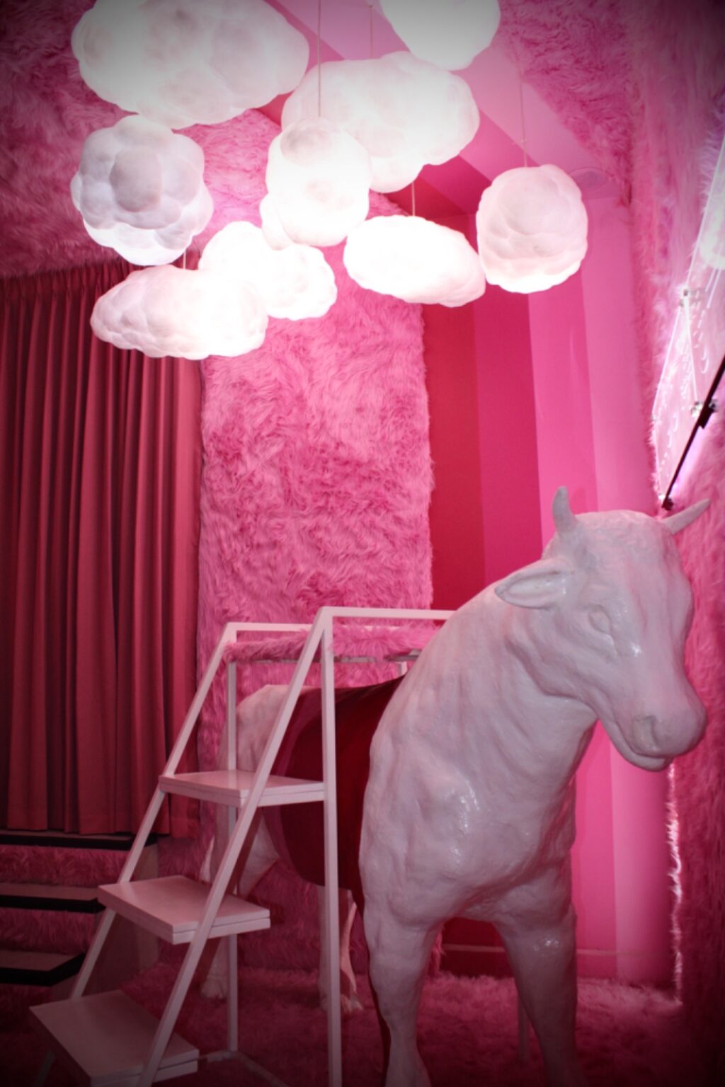 Inauguran Museo del Taco en Avenida Revolución de Tijuana - Semanario ZETA