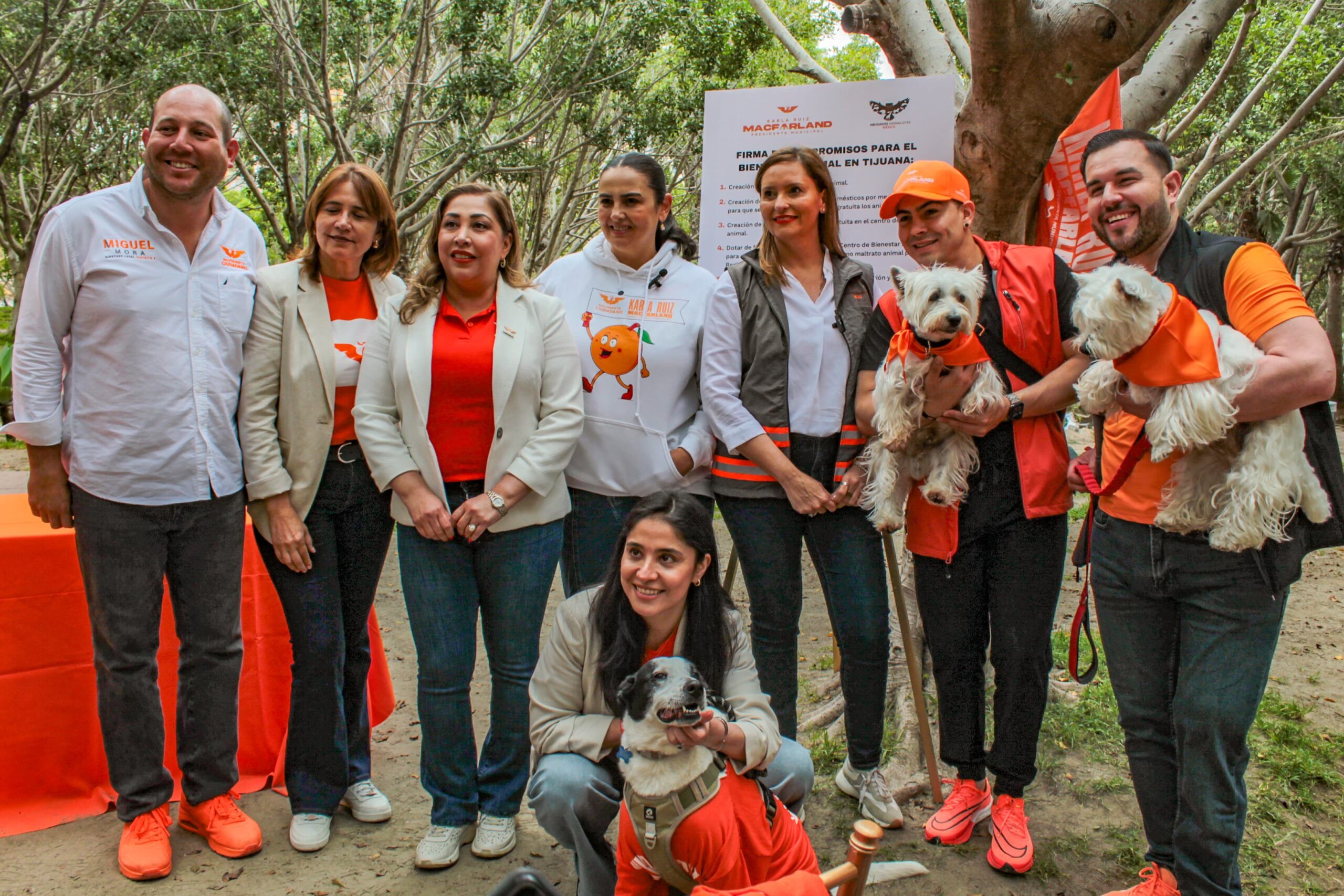 Especialización: principal falla en respuesta al Maltrato Animal ...