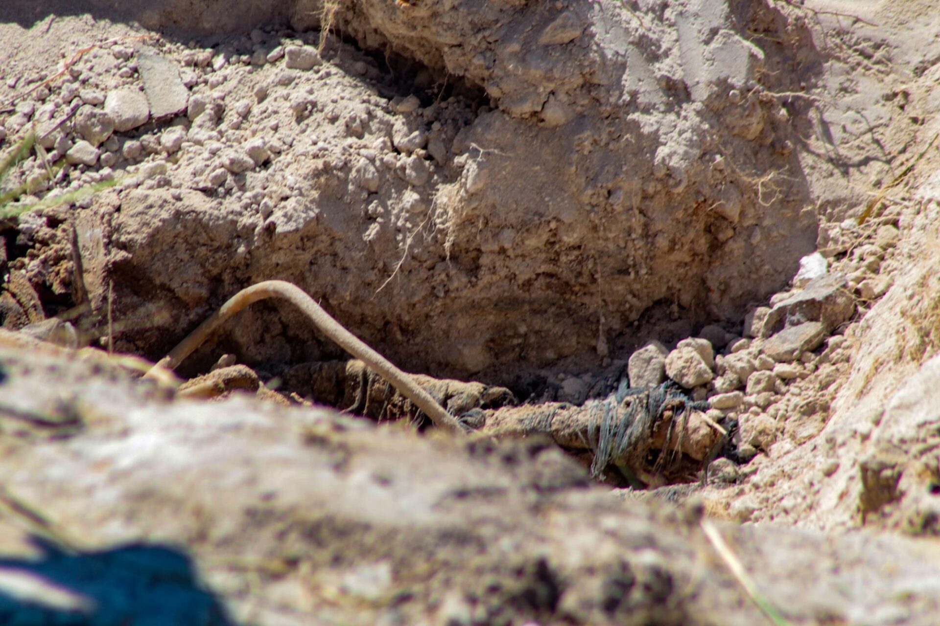 Colectivo Buscando a Tolano encuentra fosa clandestina en Invasión Infonavit Cachanillas ...
