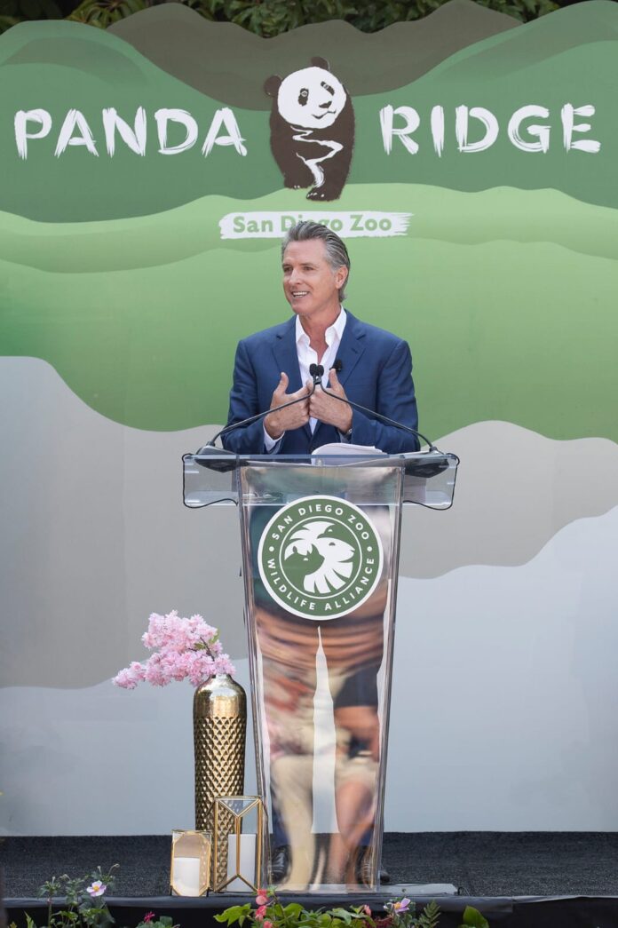 El histórico debut de Yun Chuan y Xin Bao en el San Diego Zoo ...