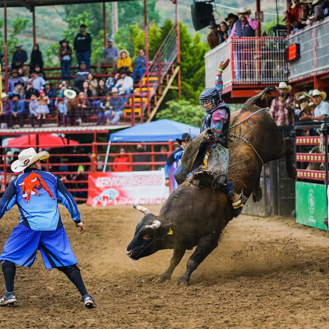 Disputarán quinta fecha de la temporada de Rodeo en Rancho Casian ...