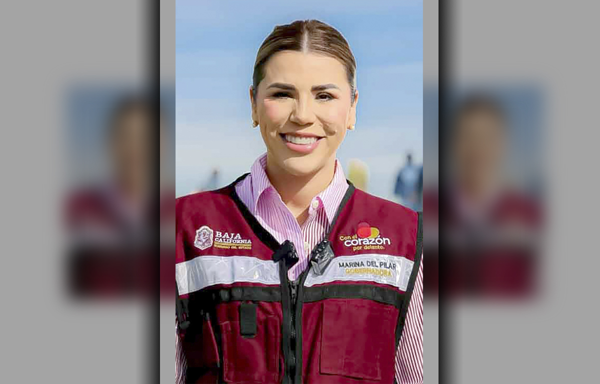 Luz verde - Semanario ZETA