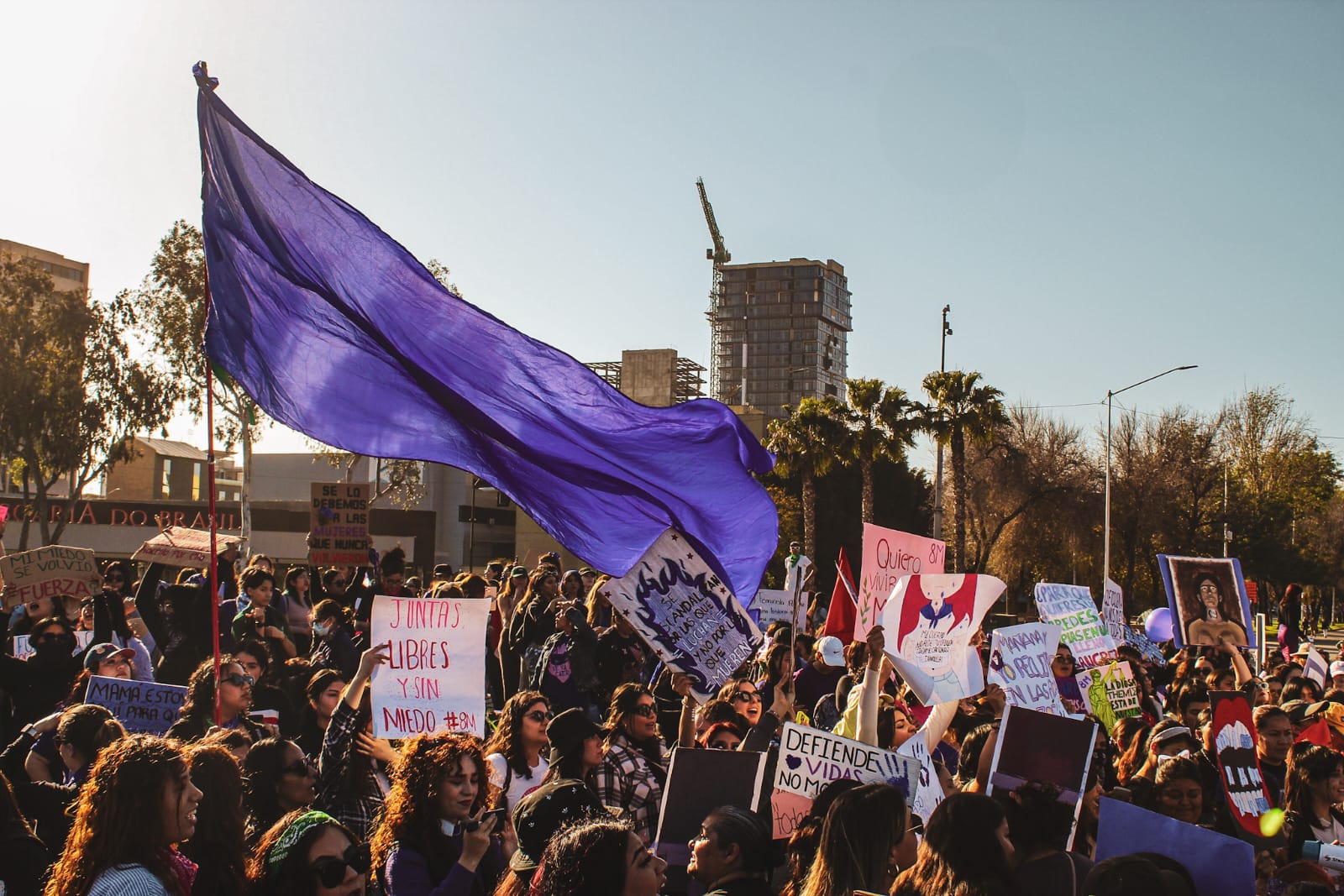 Comienza la organización para la marcha del 8M en Tijuana - Semanario ZETA