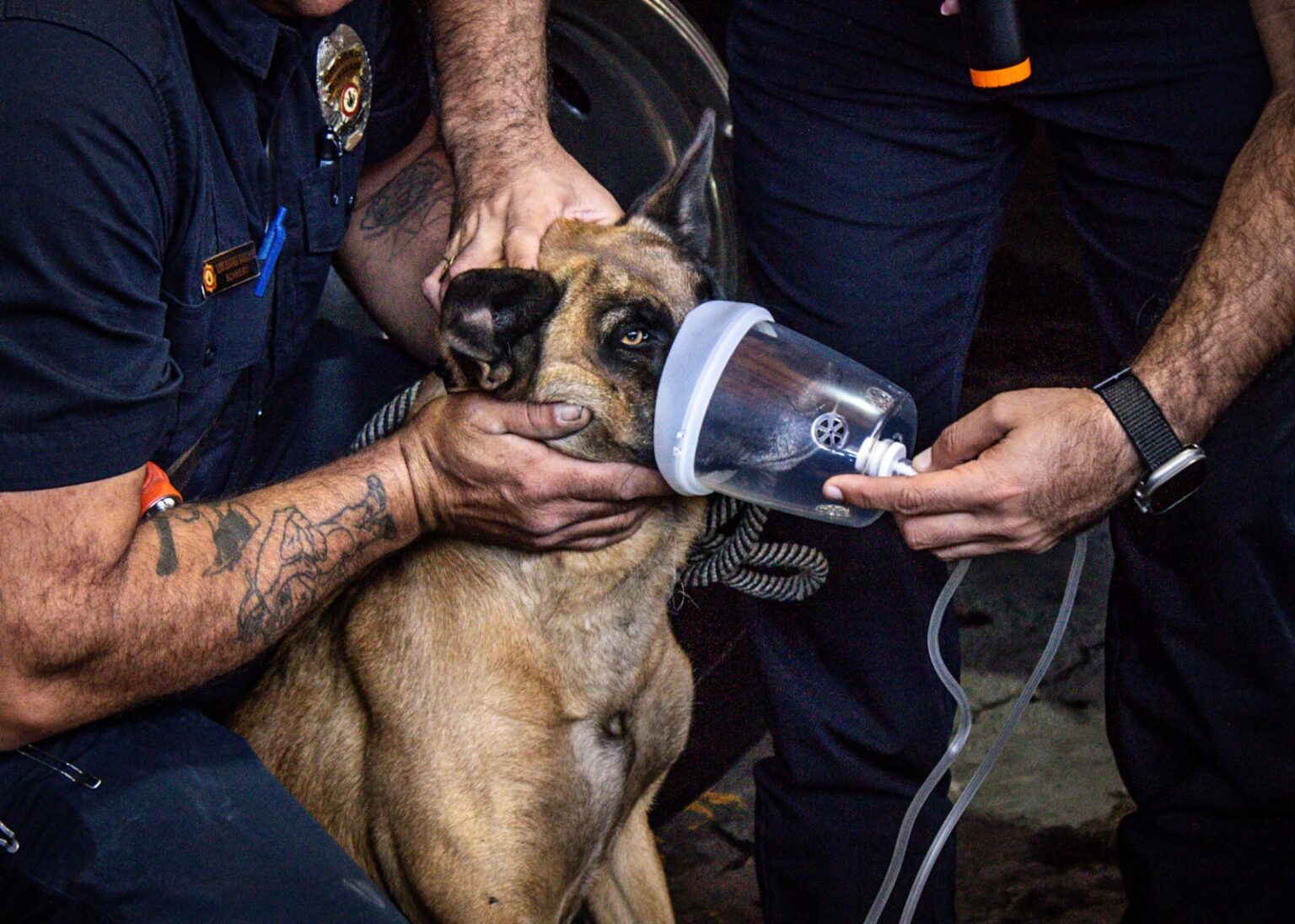 “Para Bomberos Tijuana todas las vidas cuentan”: donan kits de RCP para ...