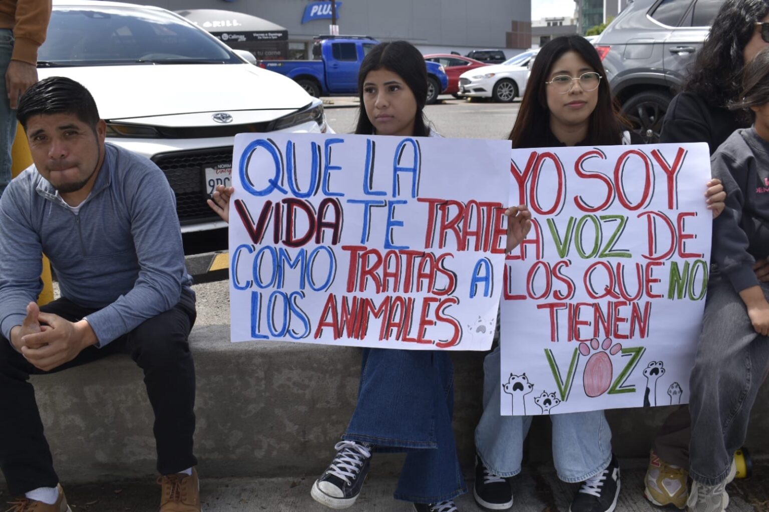 “Cárcel para César Jiovani” por crueldad contra gatos, piden ...