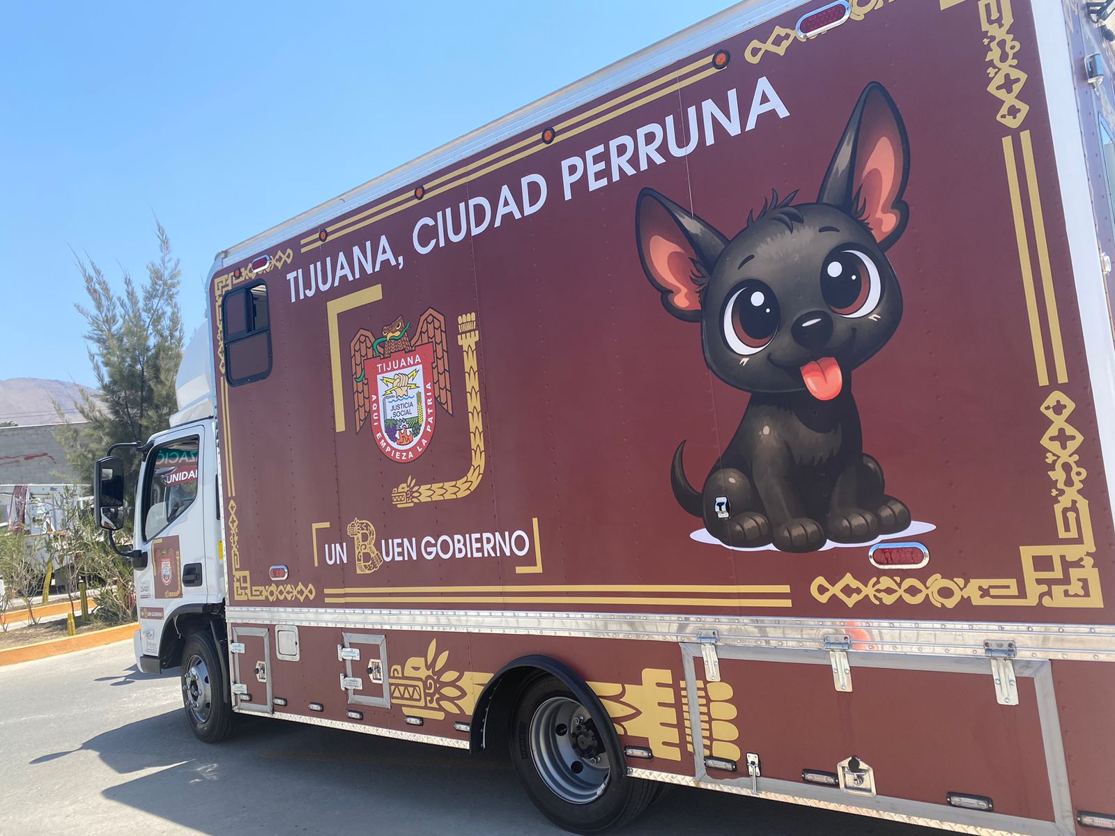 Implementan unidades móviles de esterilización y atención a mascotas en ...