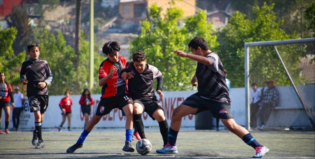 Realizará Zonkeys Mundialito 2026 - Semanario ZETA